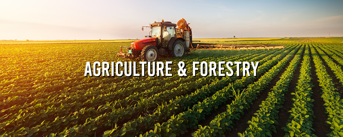 Agriculture & Forestry » Caltex